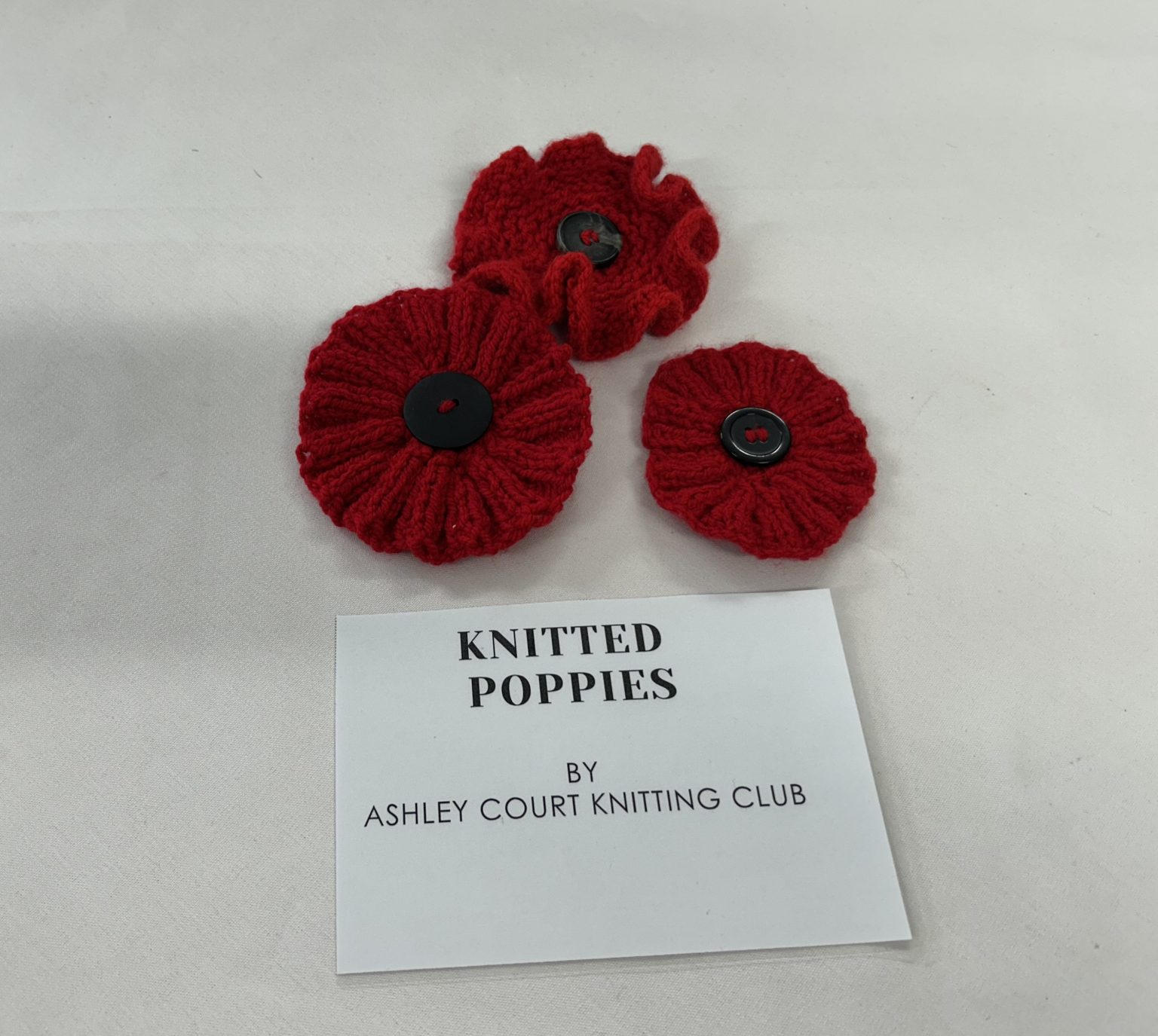 care home activities | art exhibition | Muirfield | Gullane